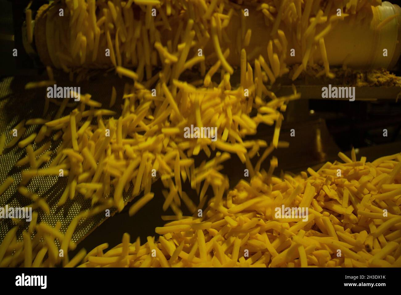 Production line of a potato factory. French fries - fast food Stock ...
