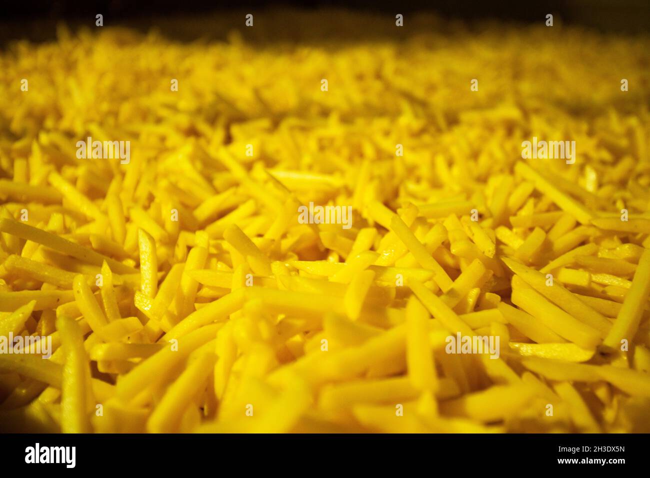 Production line of a potato factory. French fries - fast food Stock ...