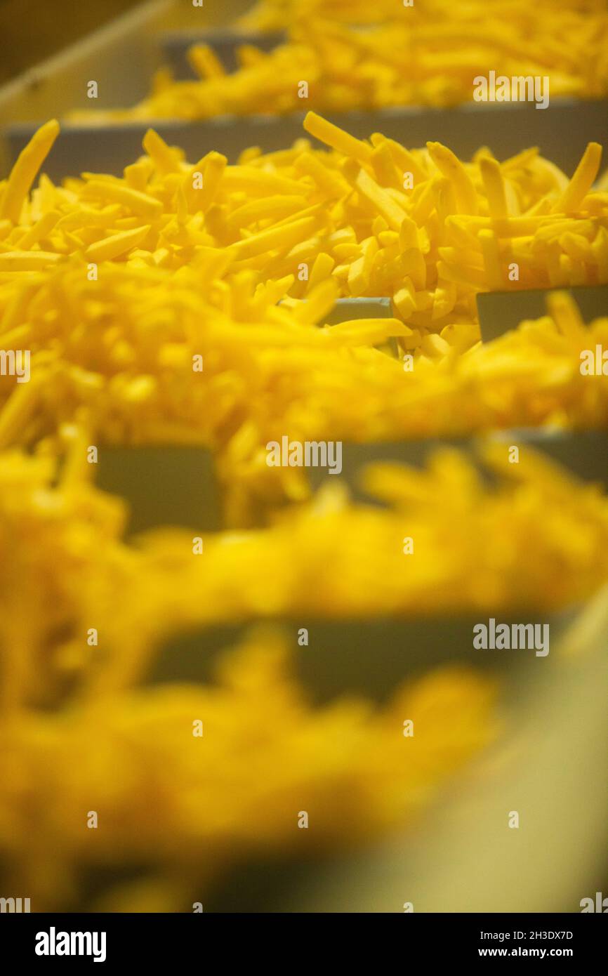 Production line of a potato factory. French fries - fast food Stock ...