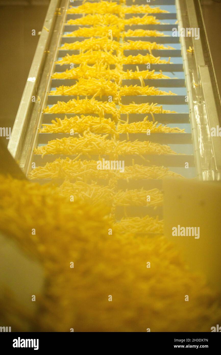 Production line of a potato factory. French fries - fast food Stock ...