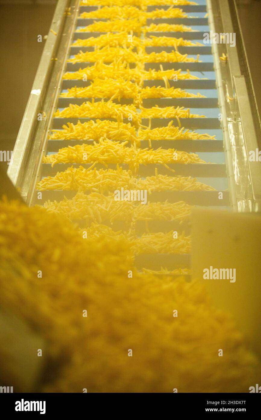 Production line of a potato factory. French fries - fast food Stock ...