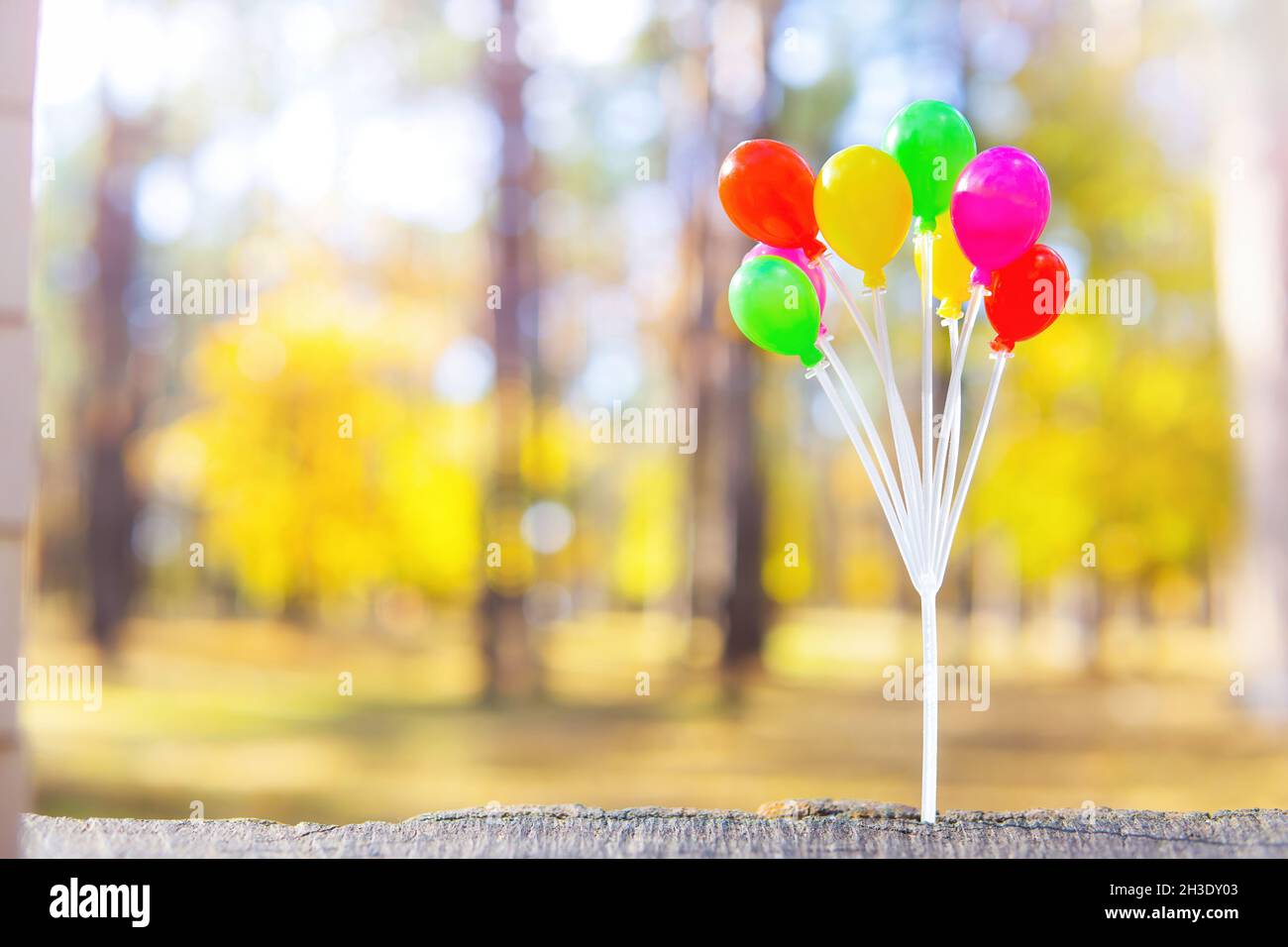Balloons against green forest happy hi-res stock photography and images ...