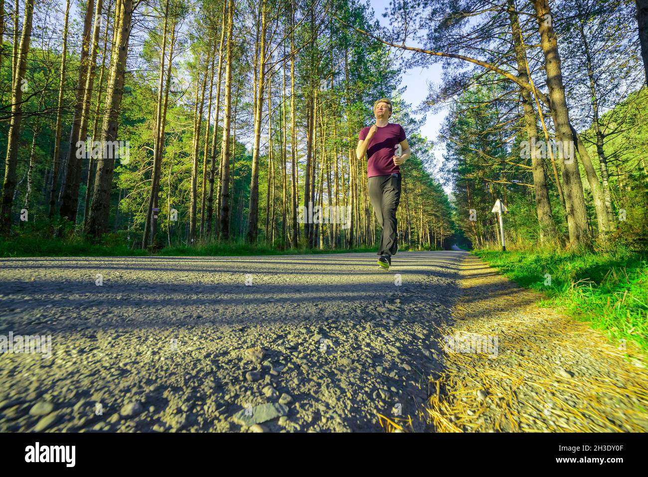 Running man jogging in city park at beautiful summer day. Sport fitness ...