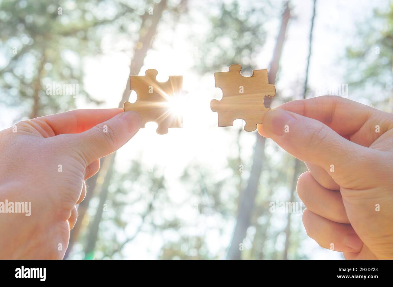 Jigsaw puzzle against a forest background. Two hands connecting two ...