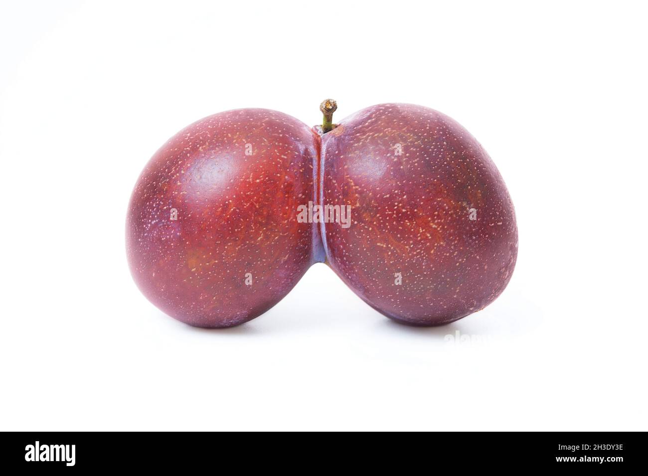 Two partially Cut Out Stock Images & Pictures - Alamy