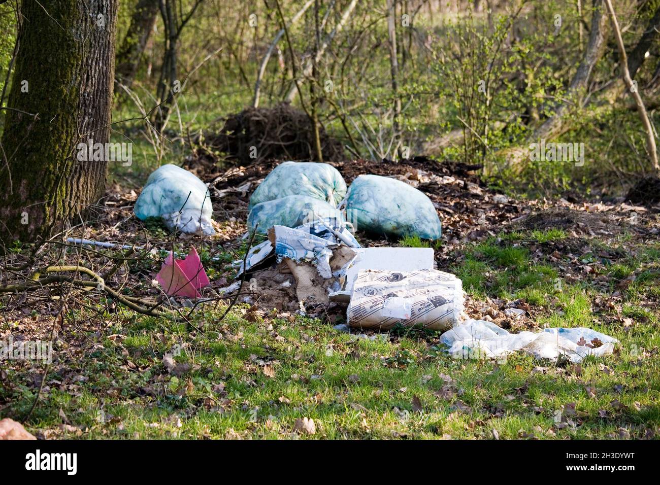 waste deposed at forest edge, illegal waste deposition, Germany Stock ...