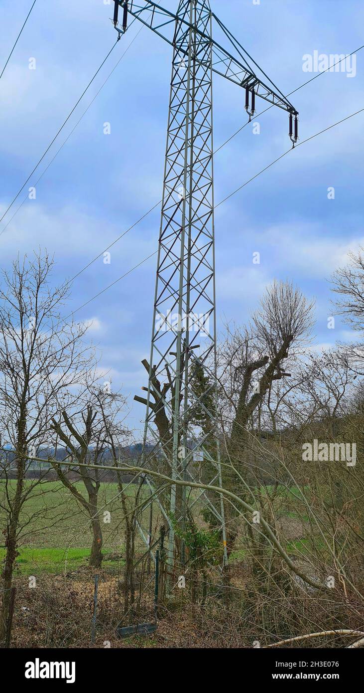 pruned trees and shrubs on a electrical power line in winter, Germany ...