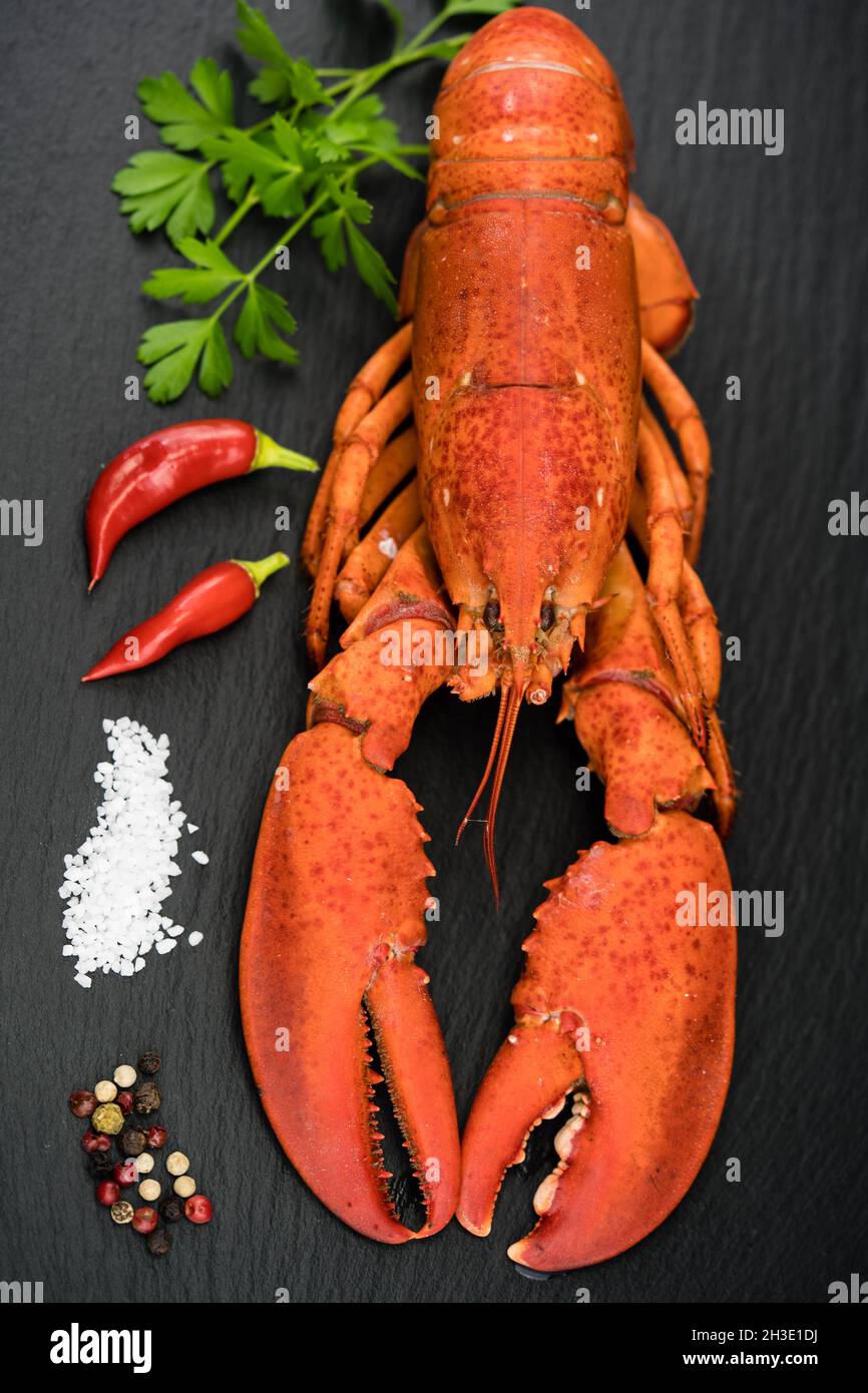 a fresh cooked red lobster Stock Photo - Alamy
