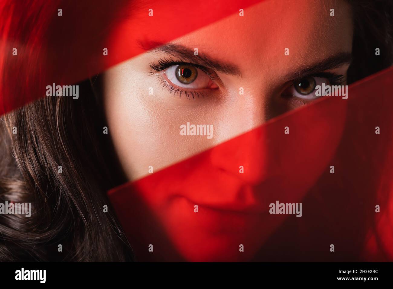 Close up through glass shot hi-res stock photography and images - Alamy