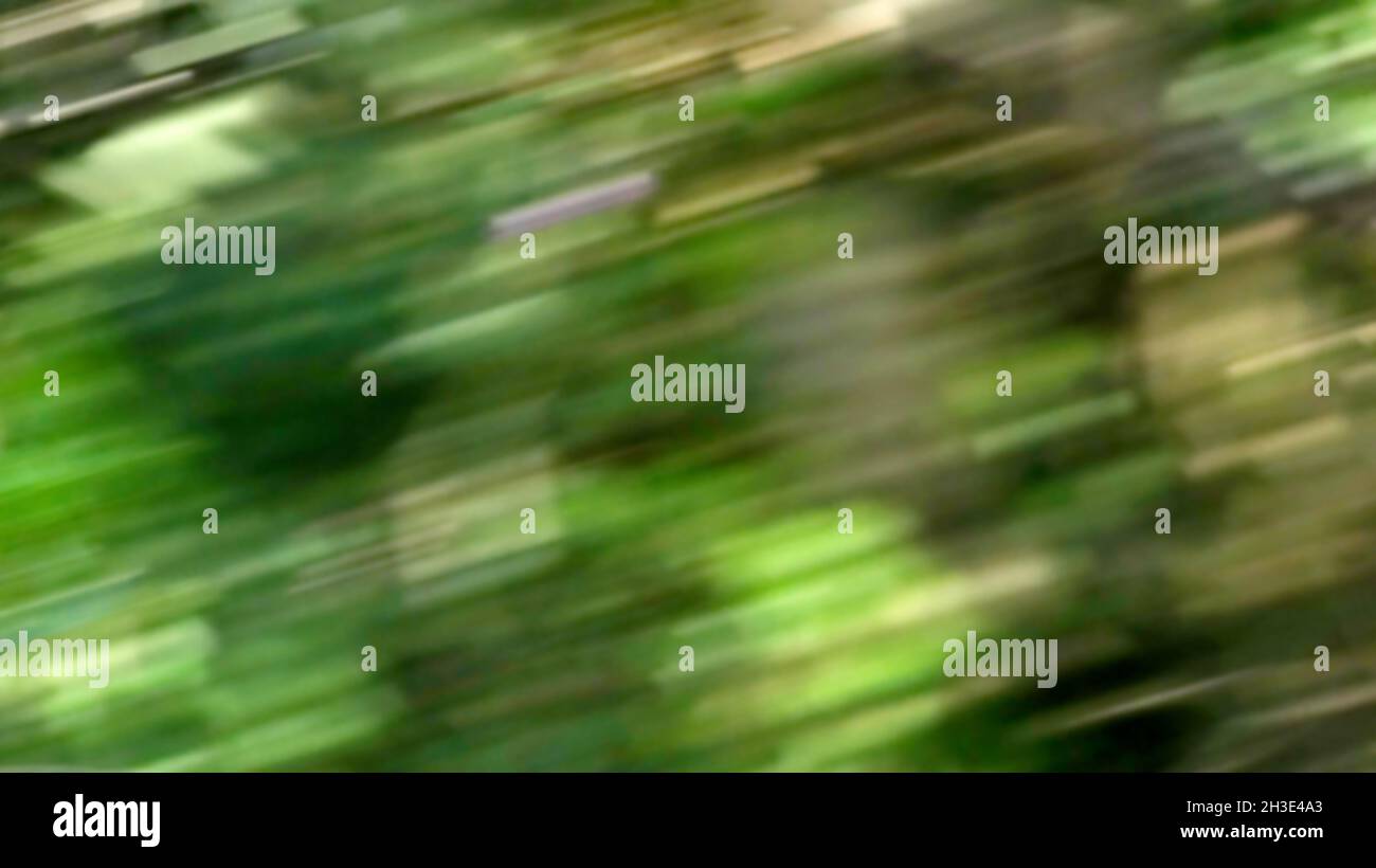 A Natural Camo Pattern Linear Blur Stock Photo - Alamy