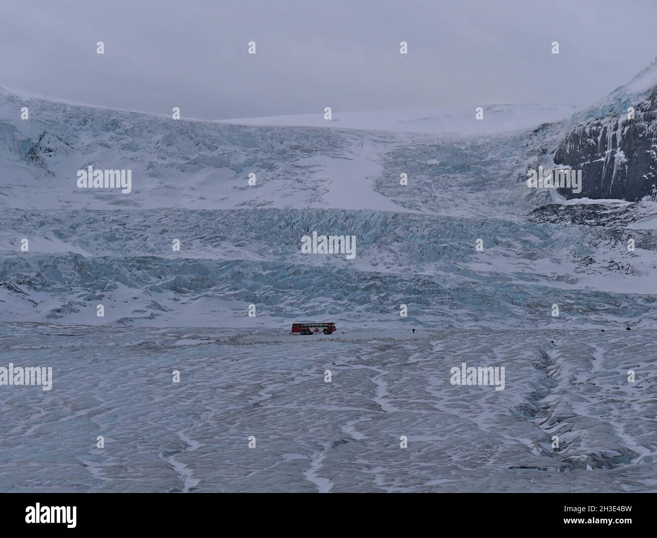 View of red colored terra bus standing on Athabasca Glacier, part of ...