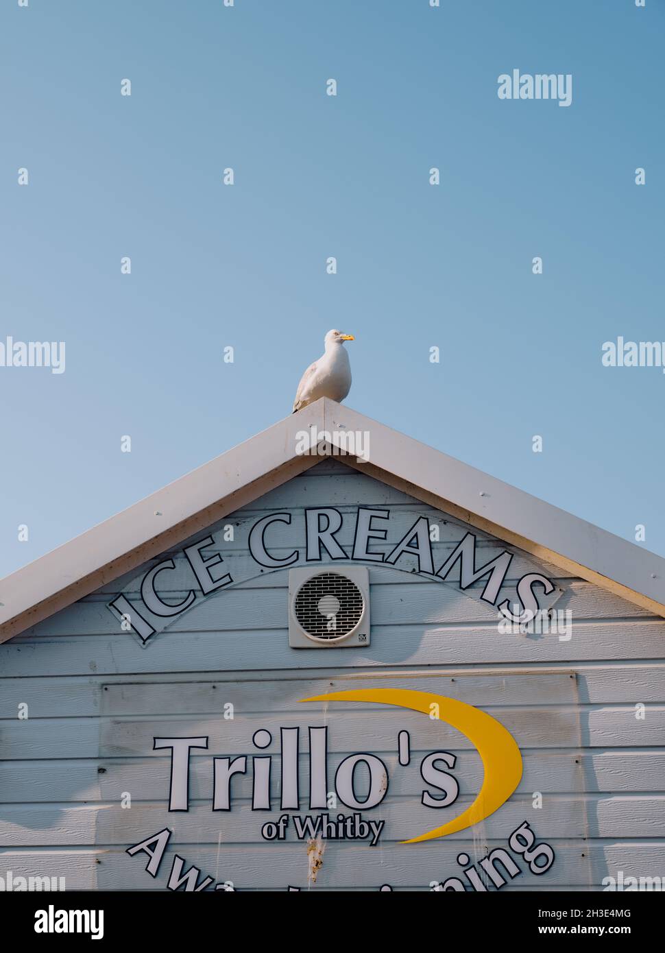 A seagull perched on top of an ice cream shack roof with blue sky at ...