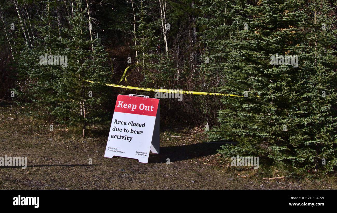 Bear country sign hi-res stock photography and images - Alamy