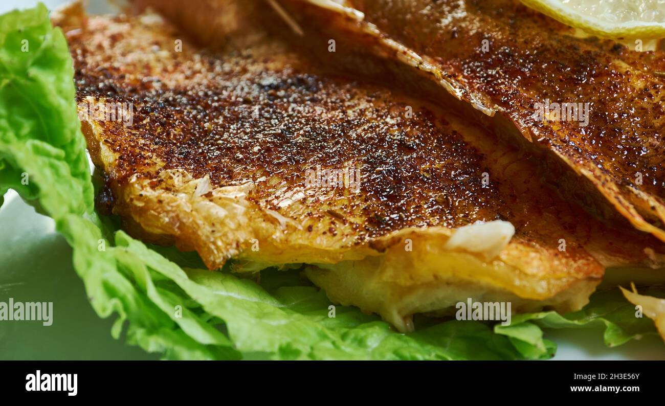 A pacu fish hi-res stock photography and images - Alamy