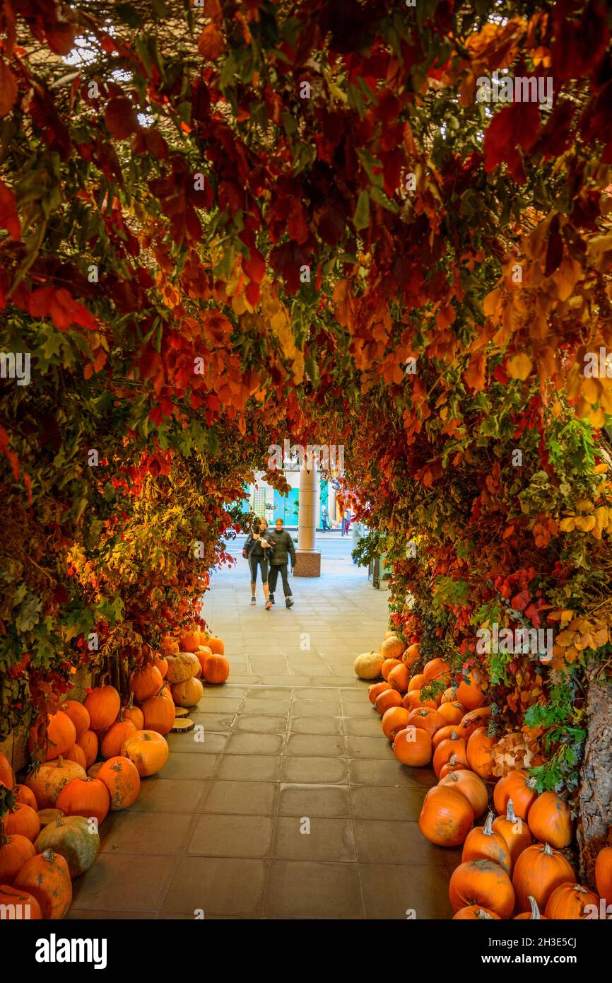 Entrance to duke of york square hi-res stock photography and images - Alamy