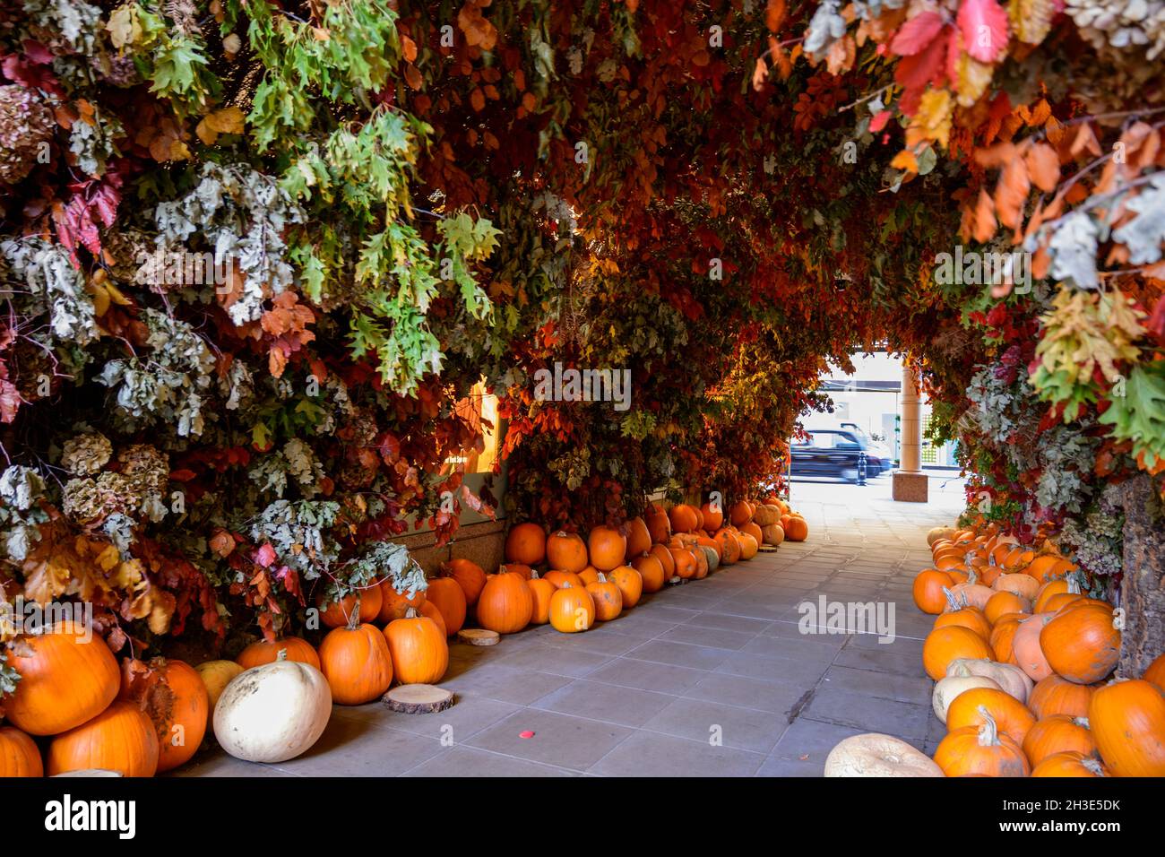 Chelsea king's road 2021 hi-res stock photography and images - Alamy