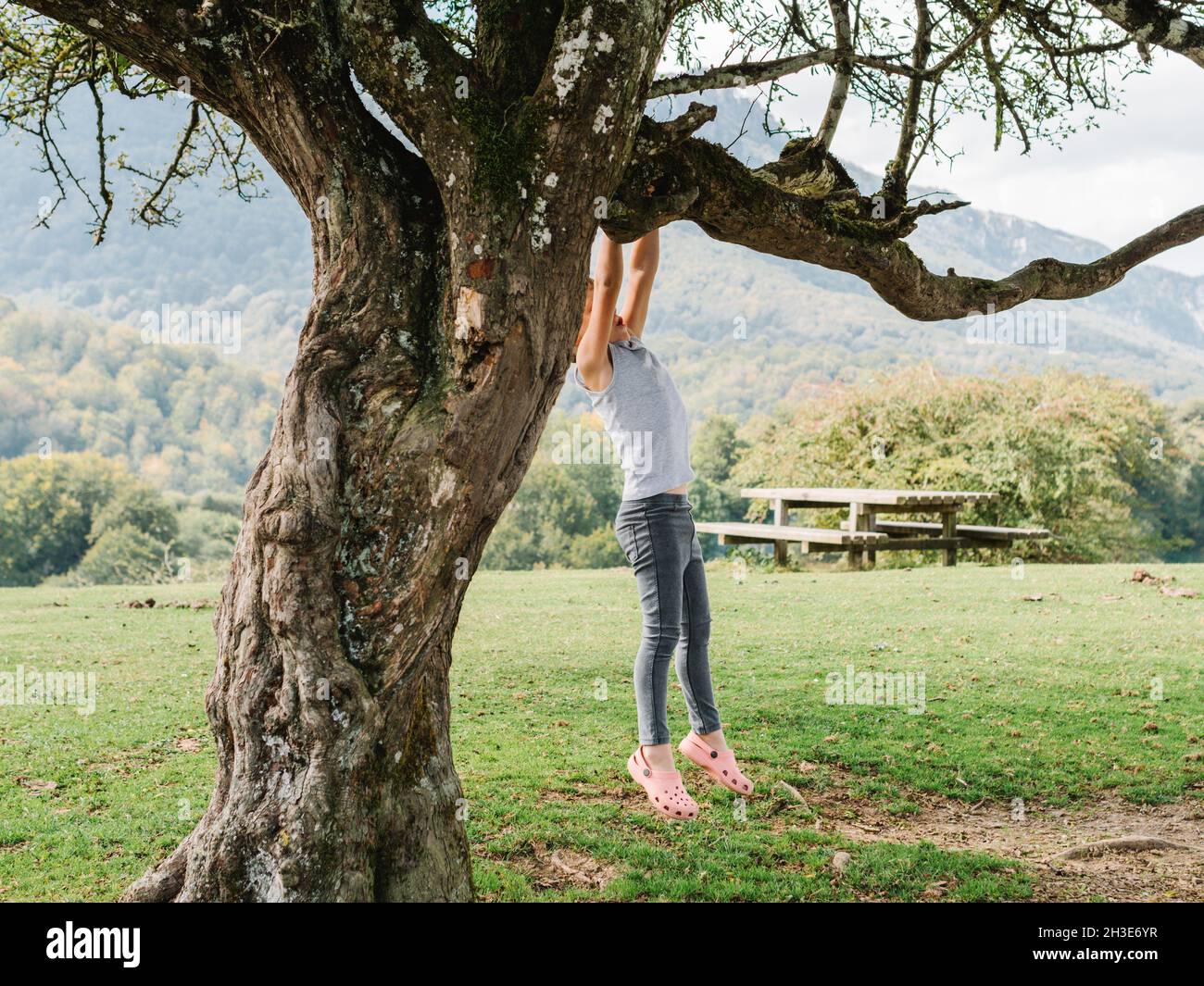 Boy hanging on branch tree hi-res stock photography and images - Alamy