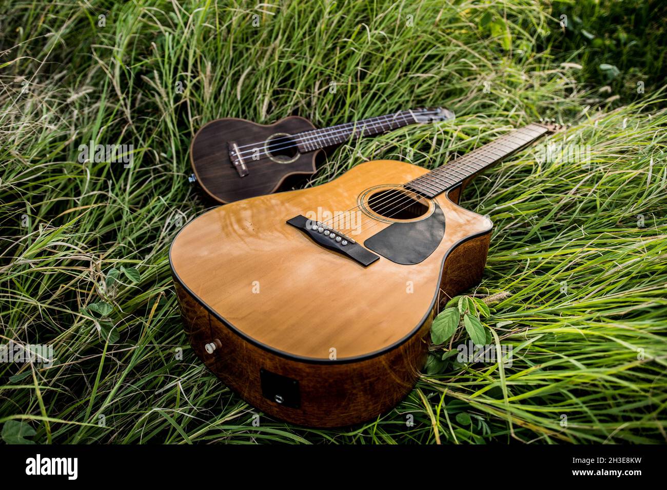 High angle of acoustic guitar and ukulele placed on green grass growing ...