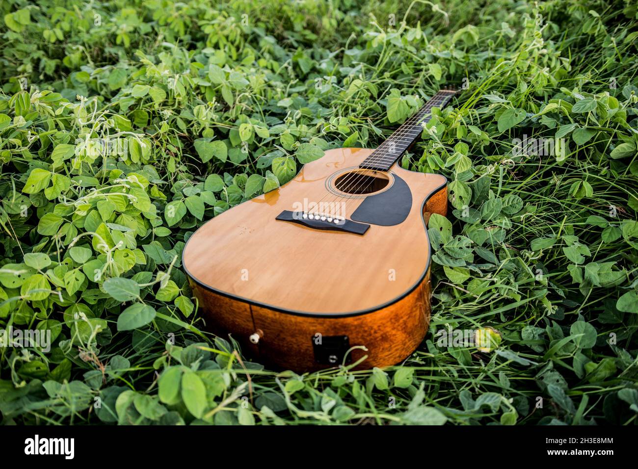 Acoustic guitar placed on green grass growing in nature in daylight ...