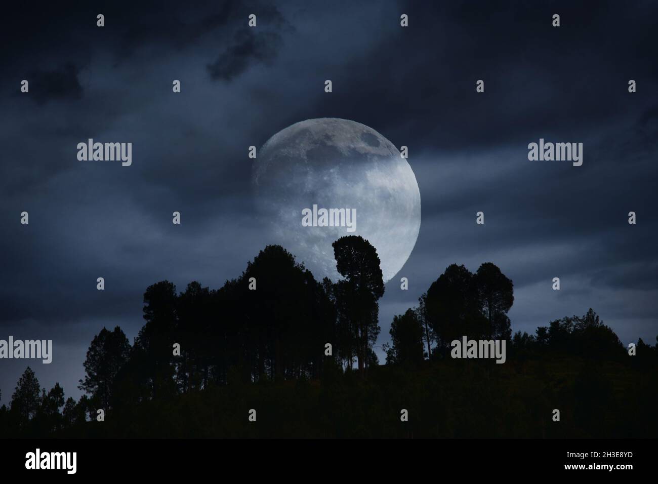 Moon rising over a forest on the mountain Stock Photo - Alamy
