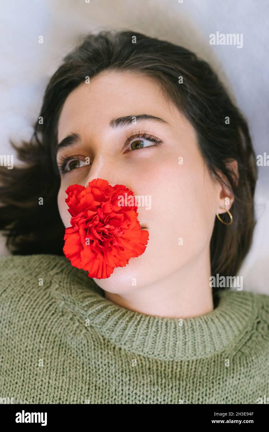 Carnation in hair hi-res stock photography and images - Alamy