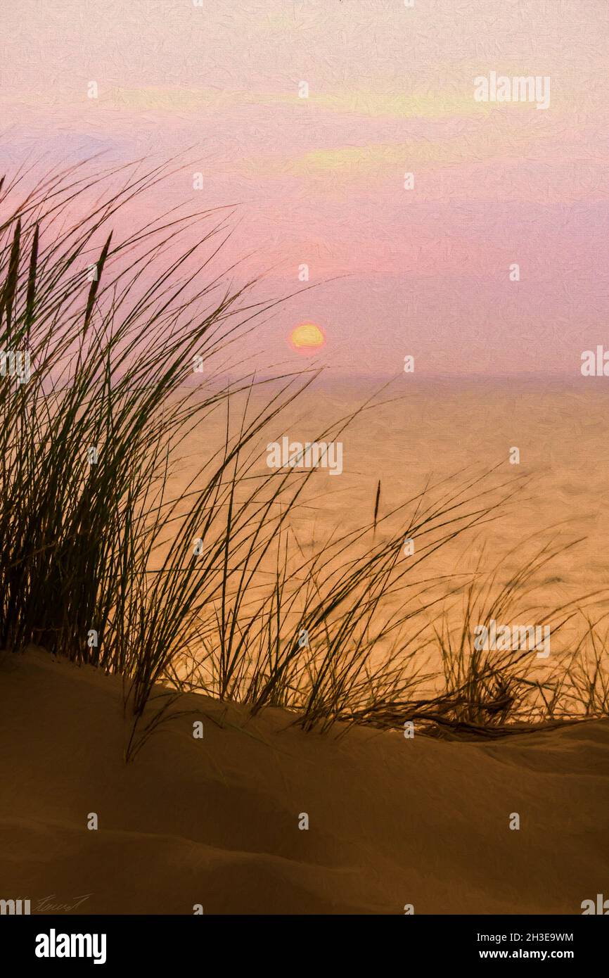 Beach Grass and ocean at sunset Stock Photo - Alamy