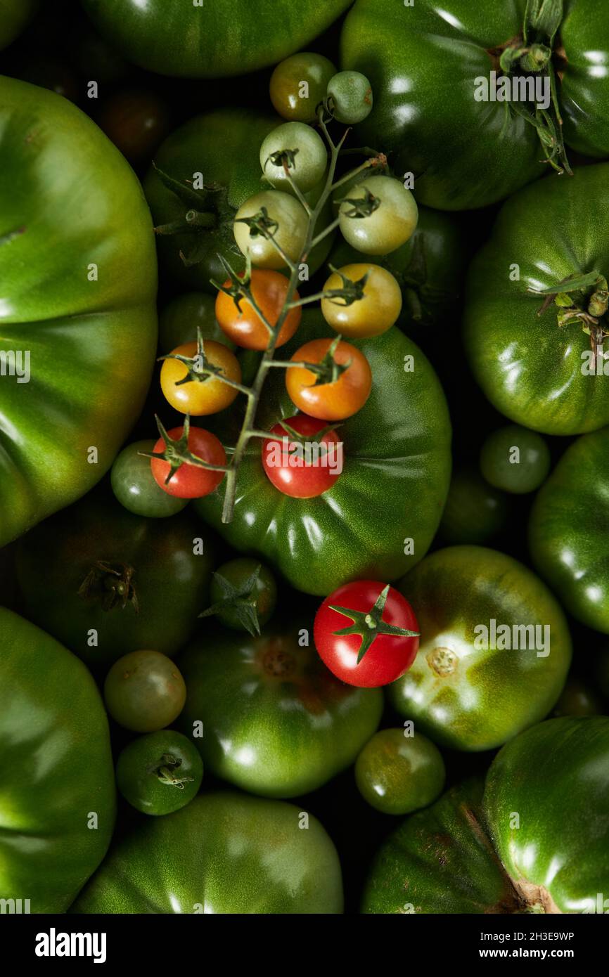 Cherry tomato top view hi-res stock photography and images - Alamy
