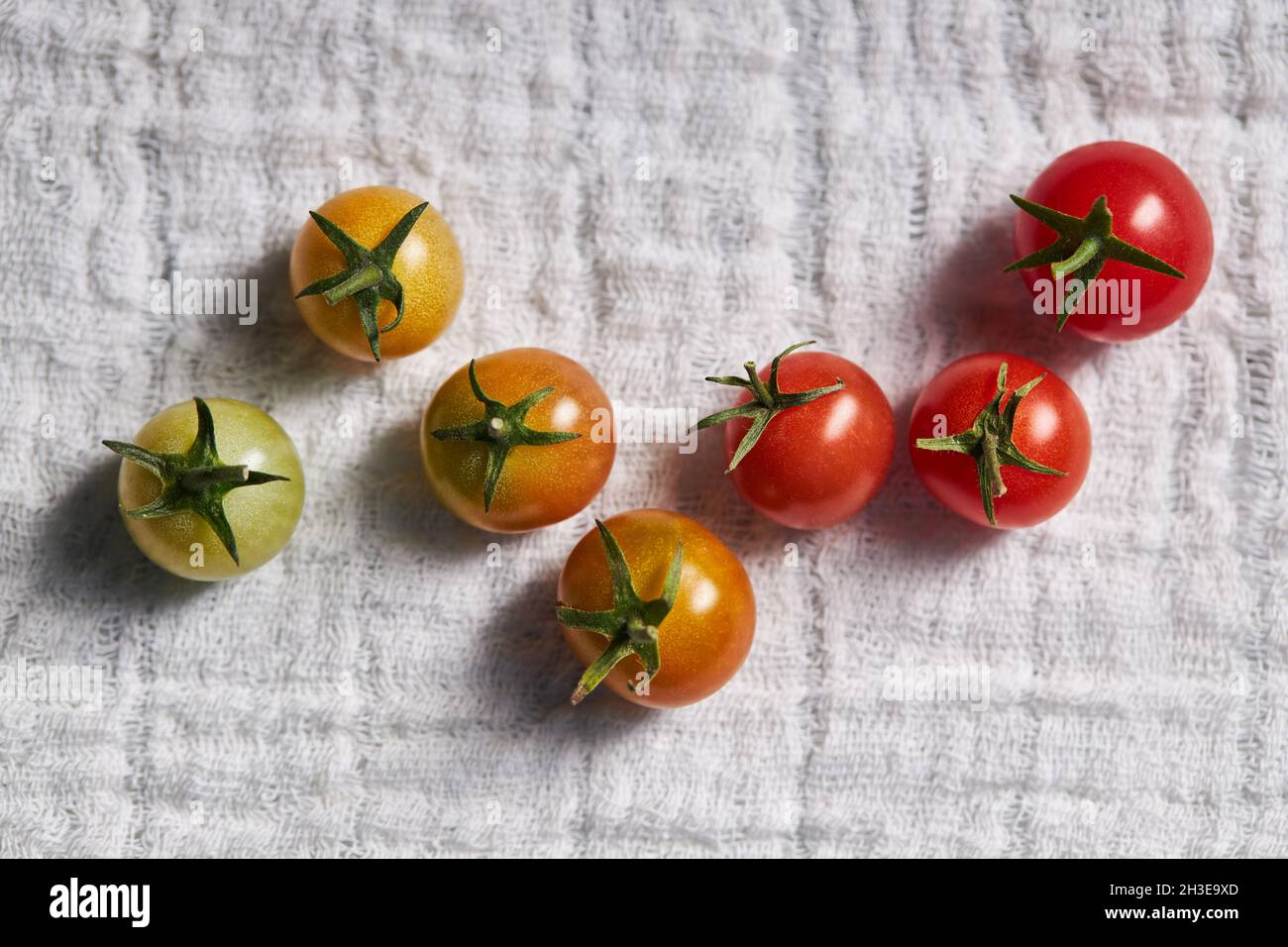 Busy female designer painting with brush on paper while sitting at ...