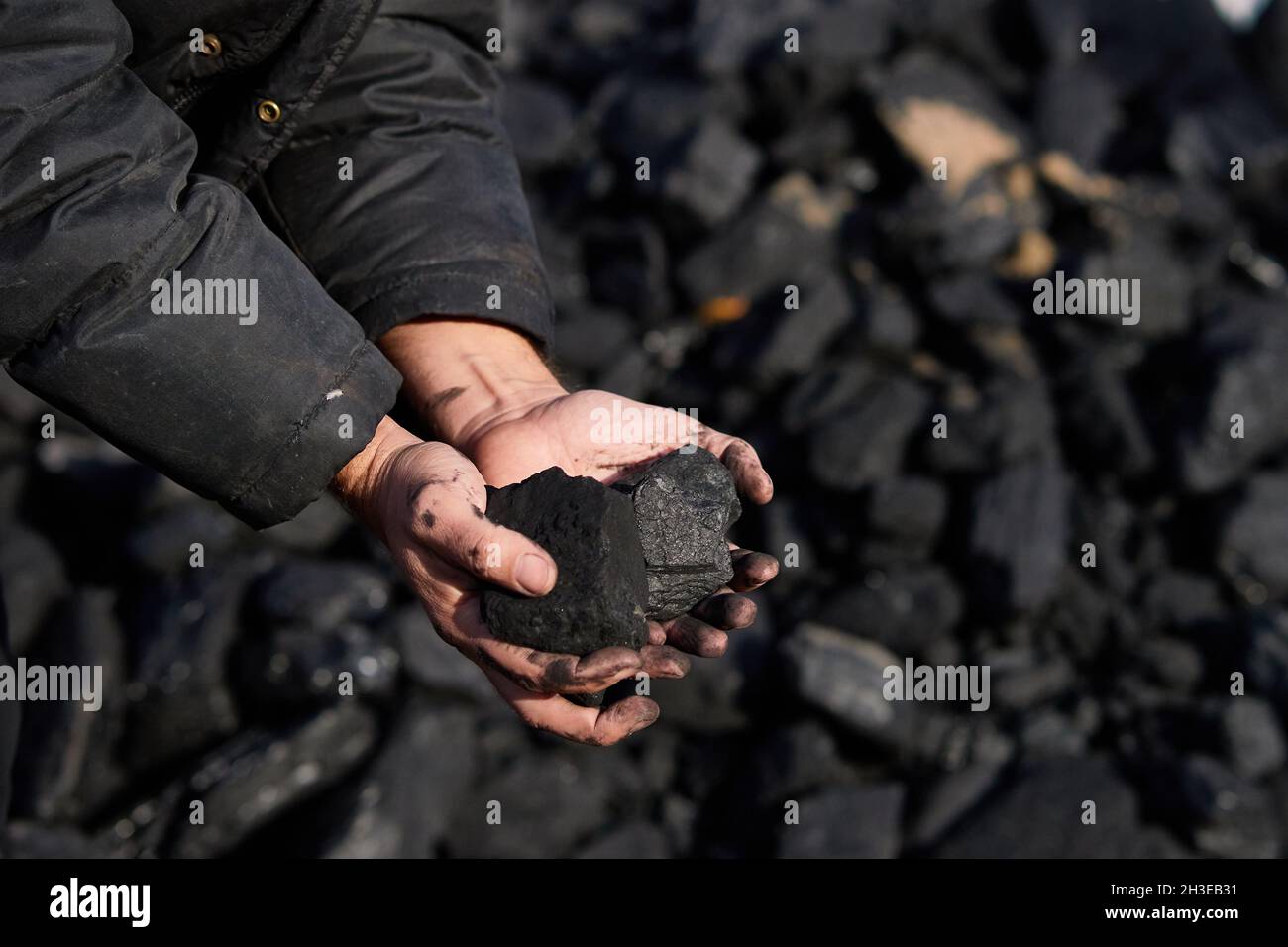 poor middle-aged man holding the hands of stone coal for sale to ...