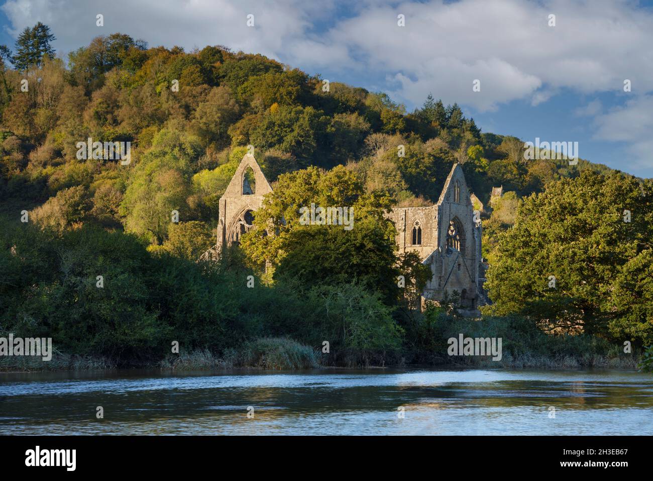 Tintern Abbey in the Wye Valley near Chepstow Stock Photo - Alamy