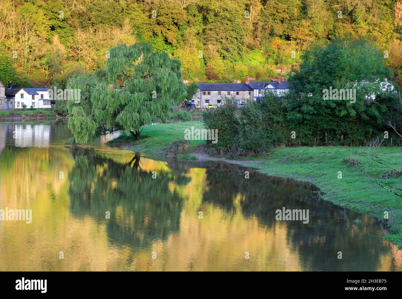 The river Wye at Tintern Stock Photo - Alamy