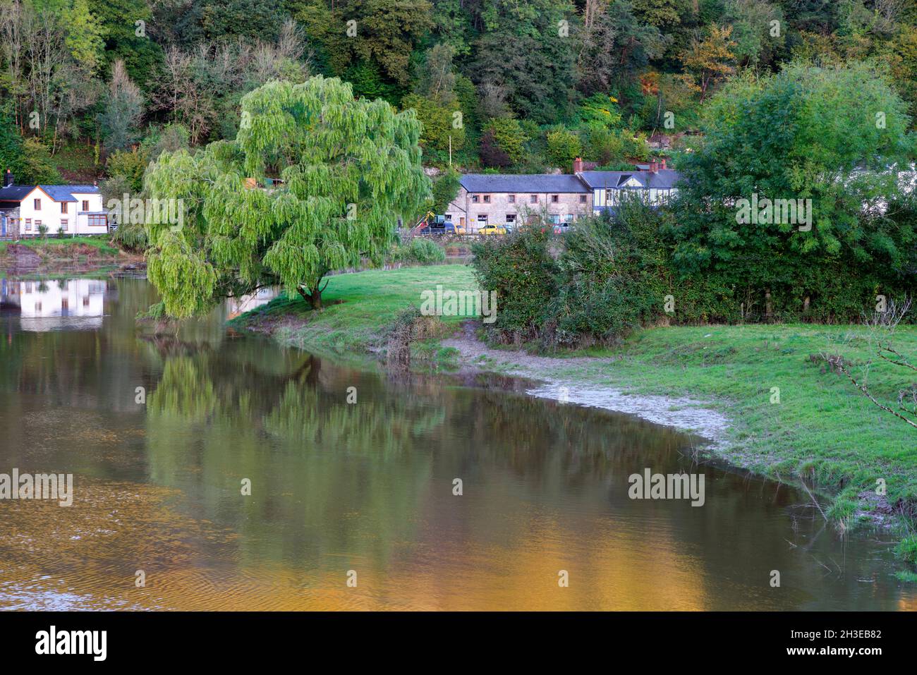 The river Wye at Tintern Stock Photo - Alamy