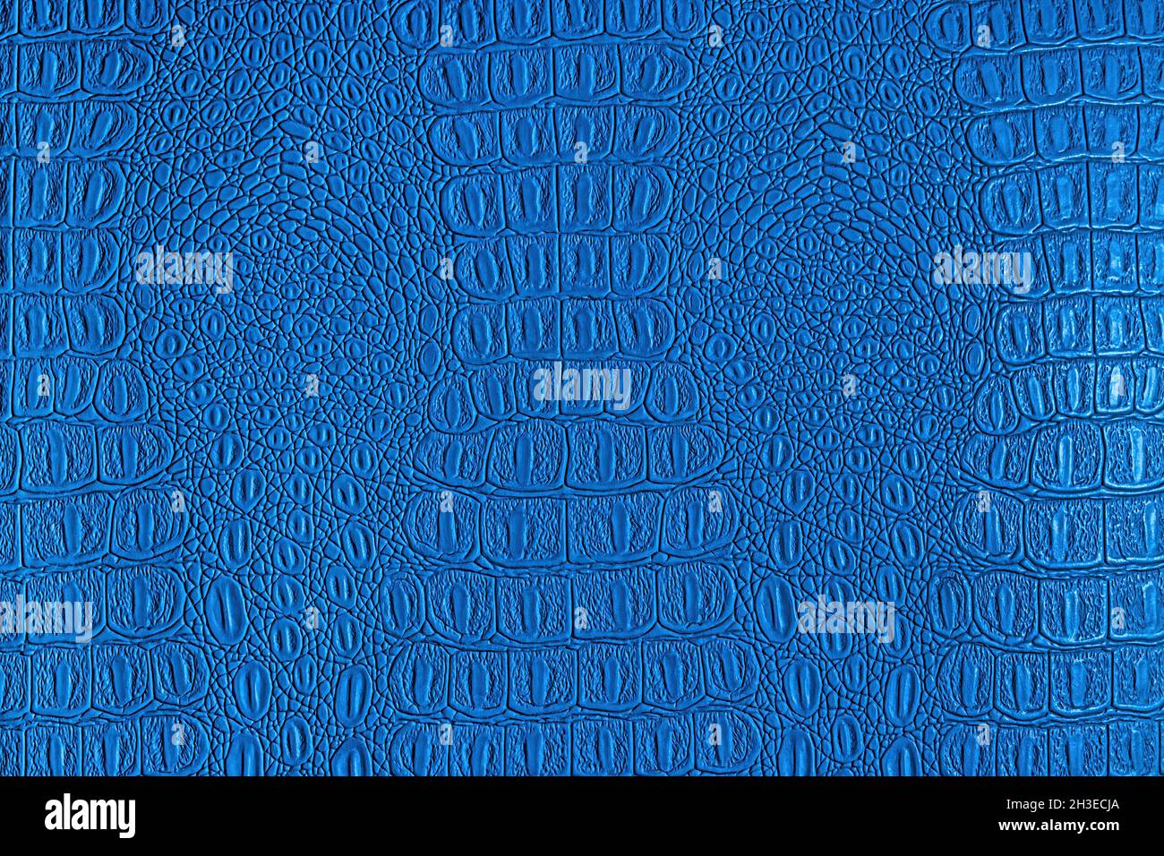 Blue crocodile leather texture. Abstract background for design Stock ...