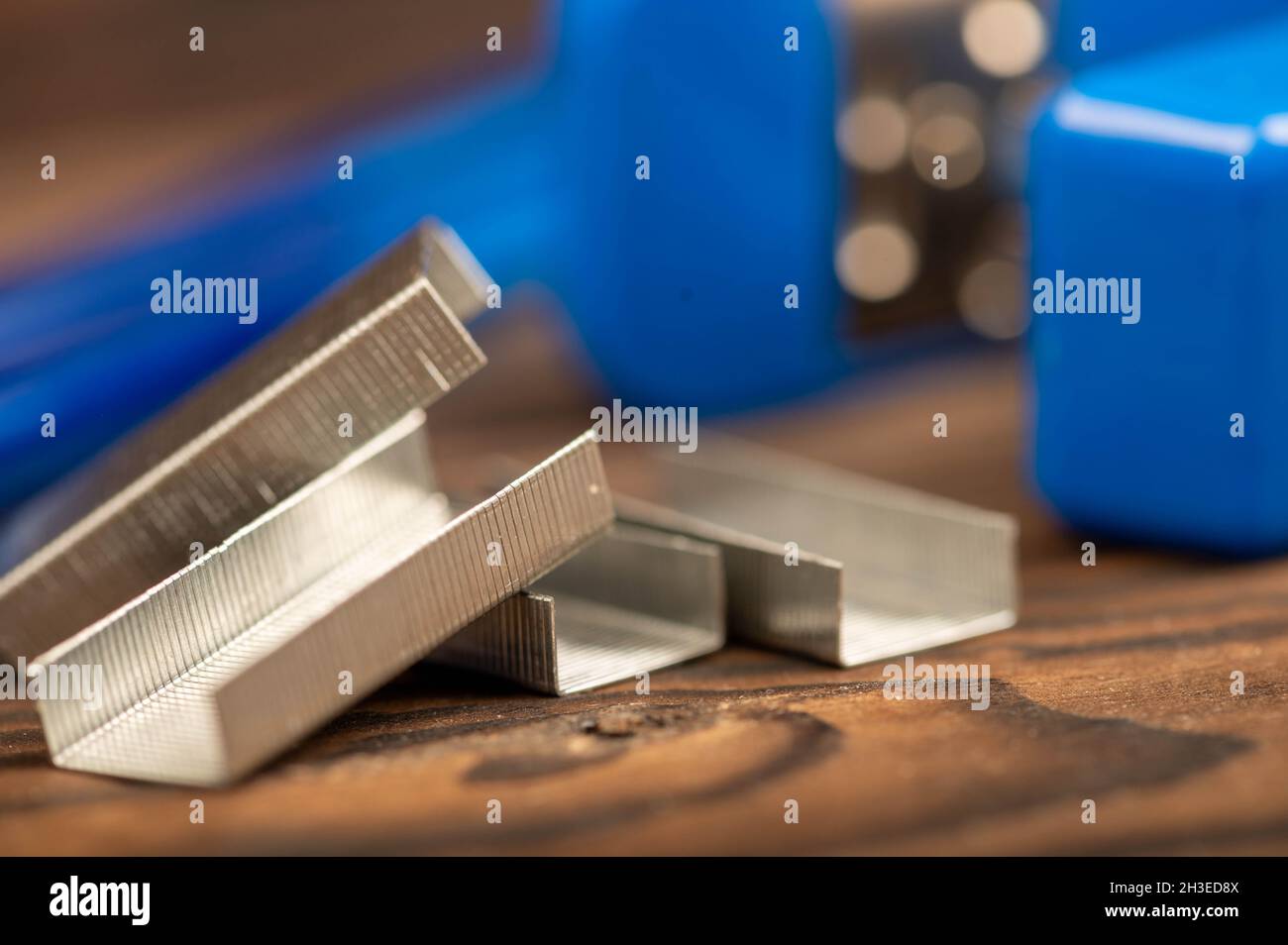 Stationery stapler, stapler staples, close-up selective focus Stock ...
