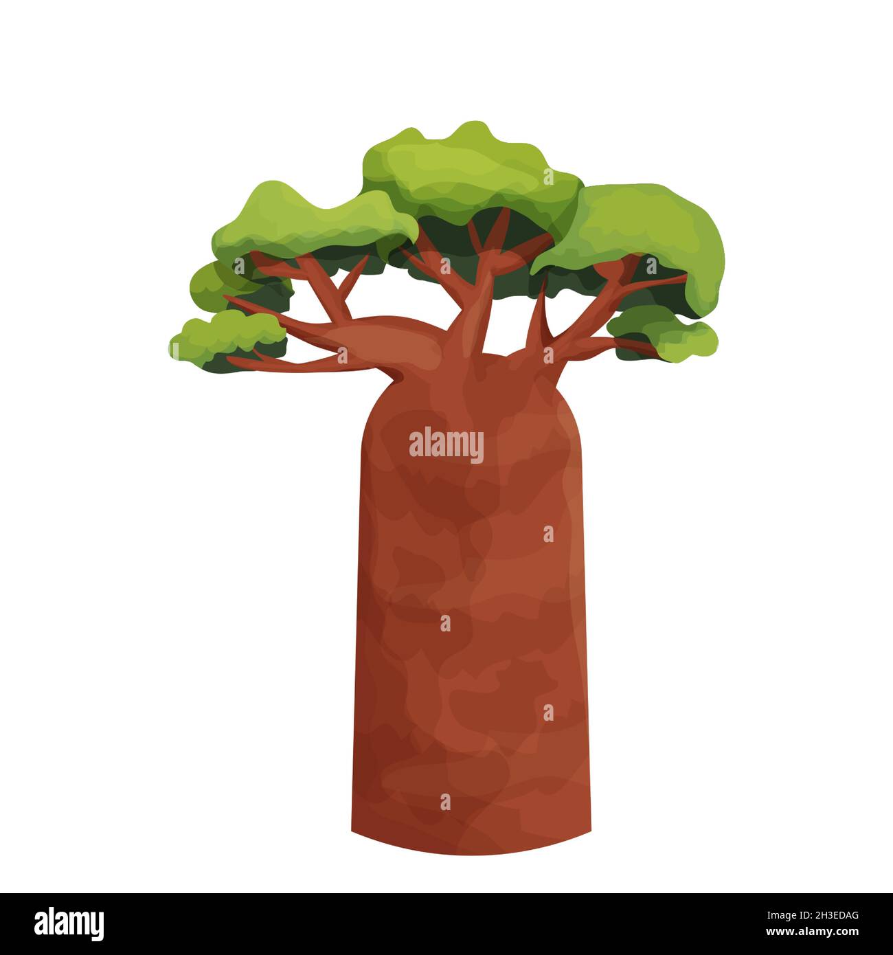 Baobab tree or monkey bread tree African in cartoon style isolated on ...