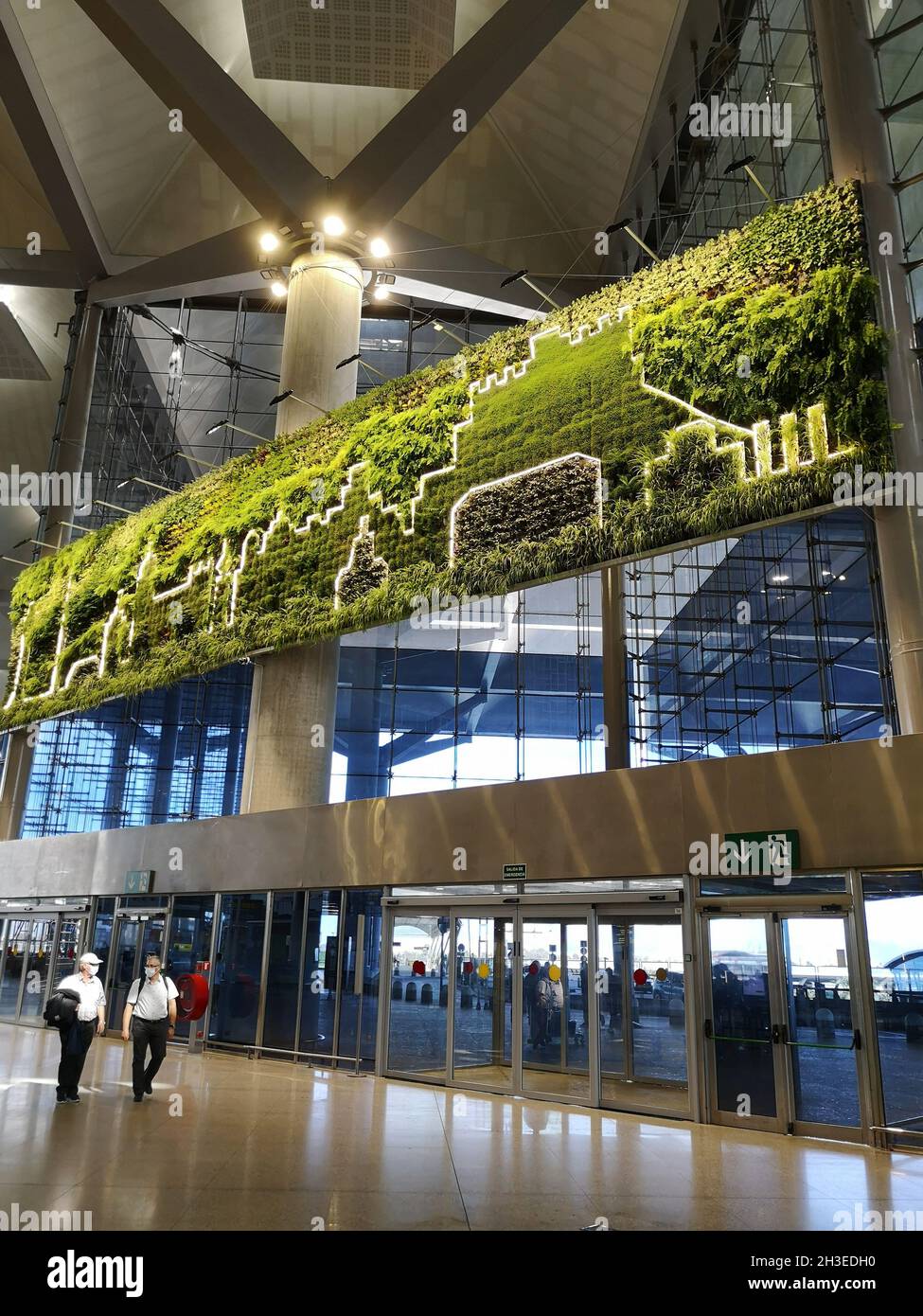Vertical garden inside terminal 3 of Malaga airport, Andalusia, Spain ...