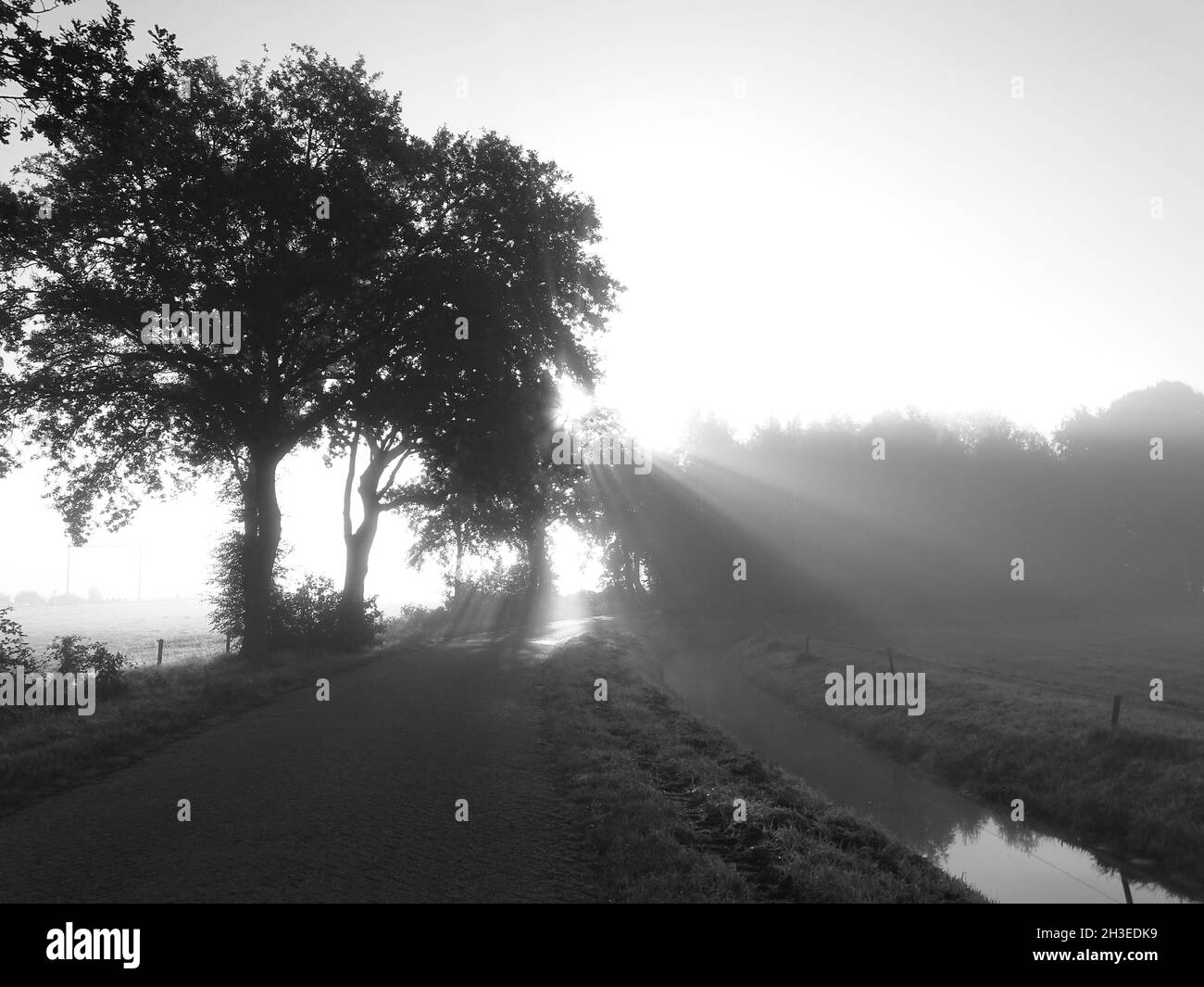 black and white photo of the sun's rays shining through the silhouette ...
