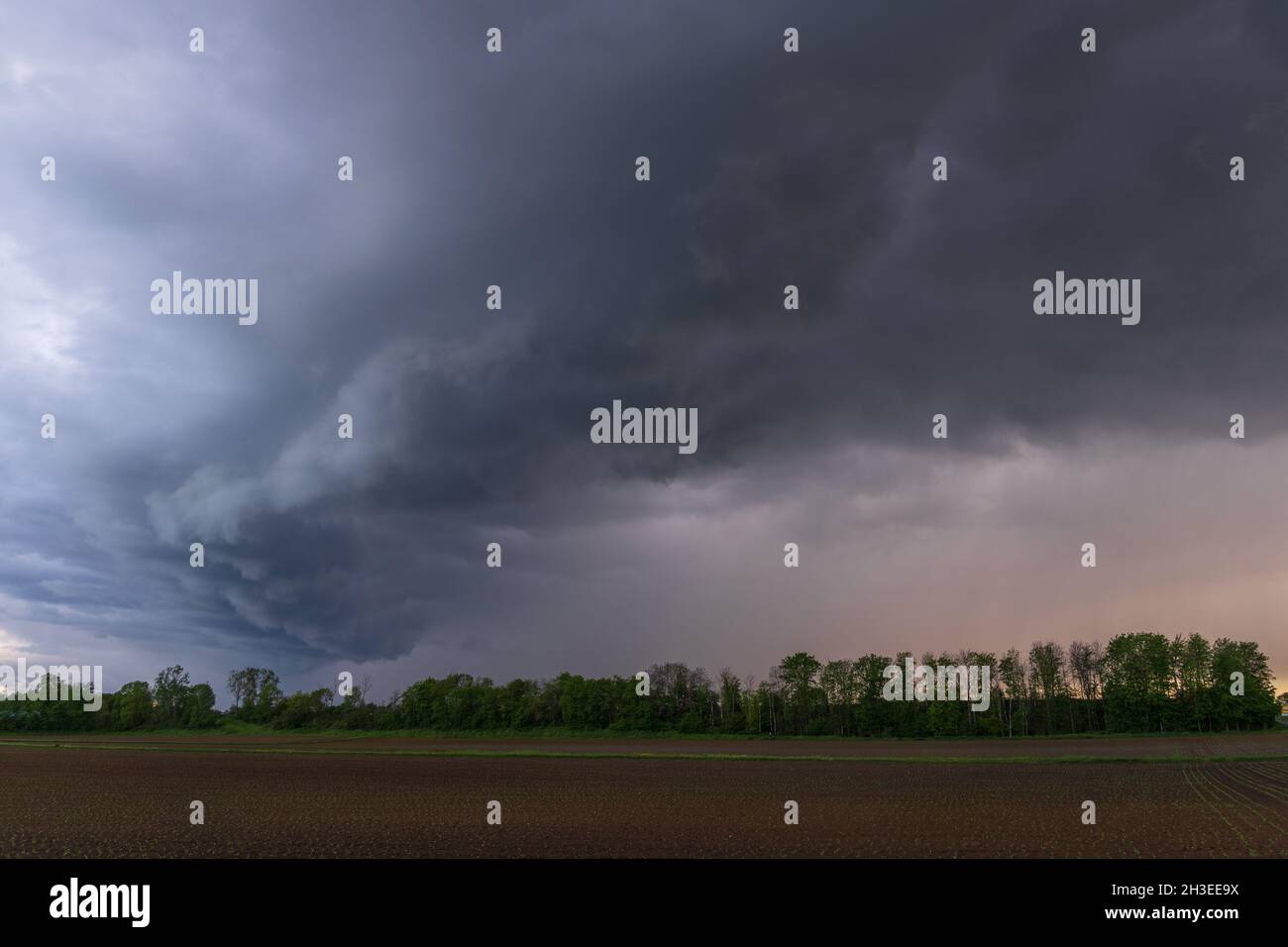 Shelf cloud approaching hi-res stock photography and images - Alamy