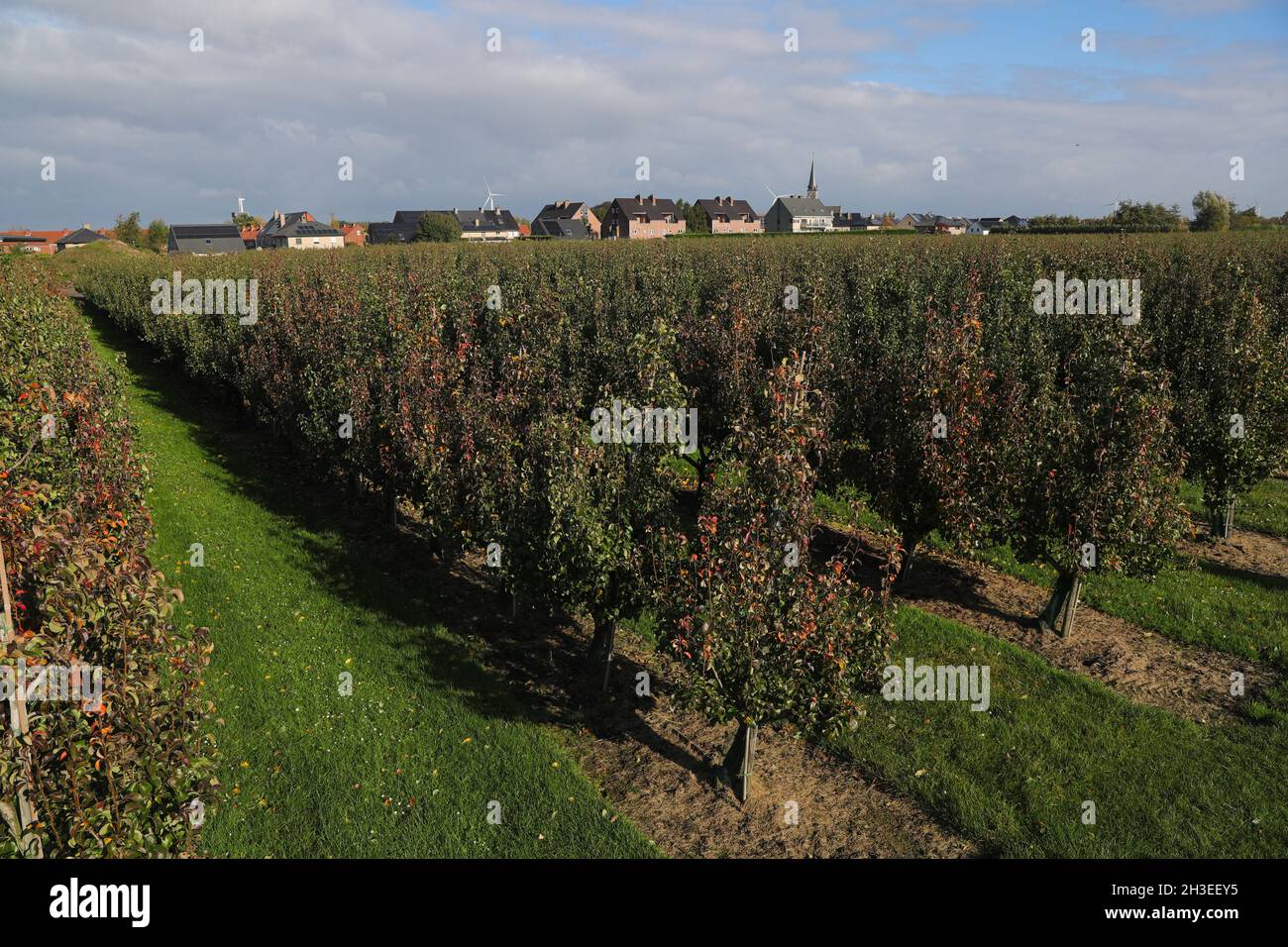 Belgian fruit valley hi-res stock photography and images - Alamy