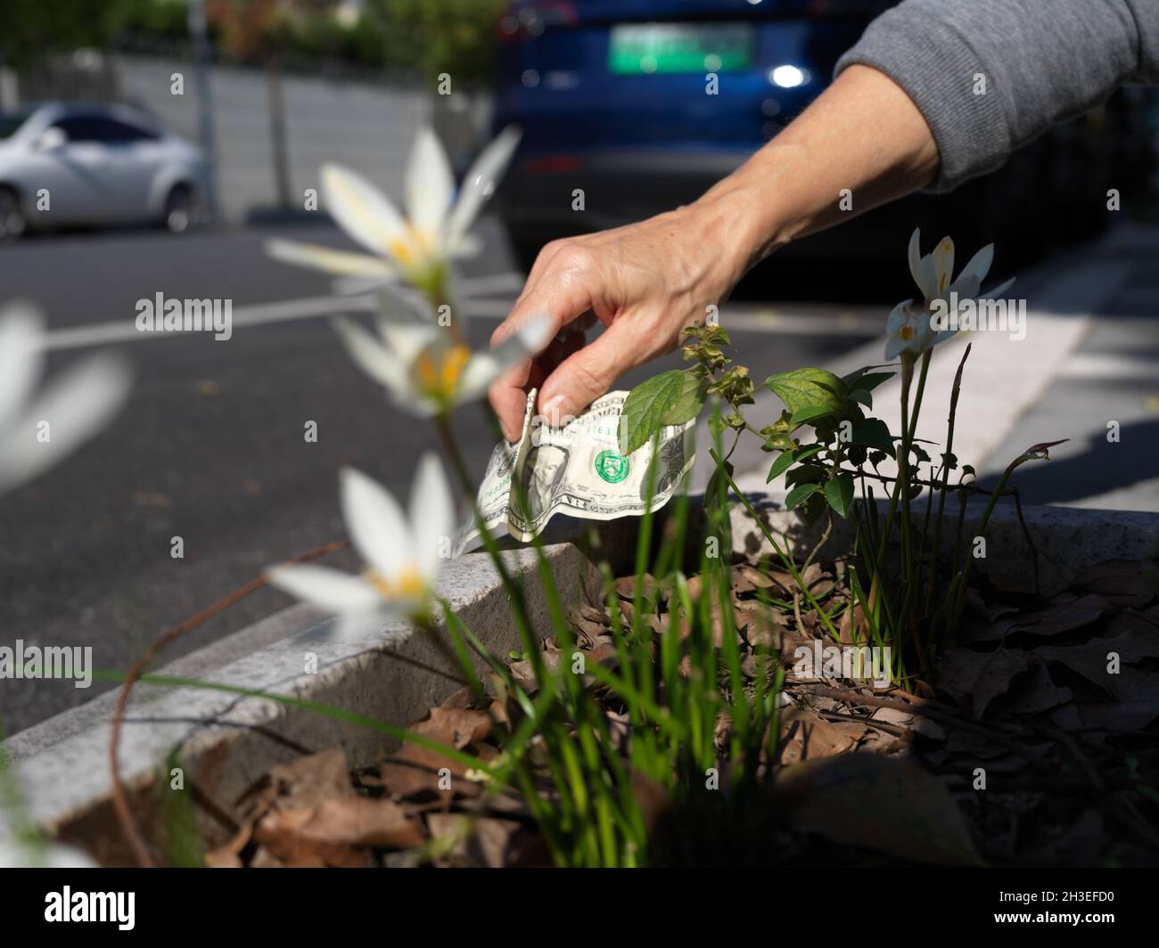 Finding money on the street, USD Stock Photo - Alamy