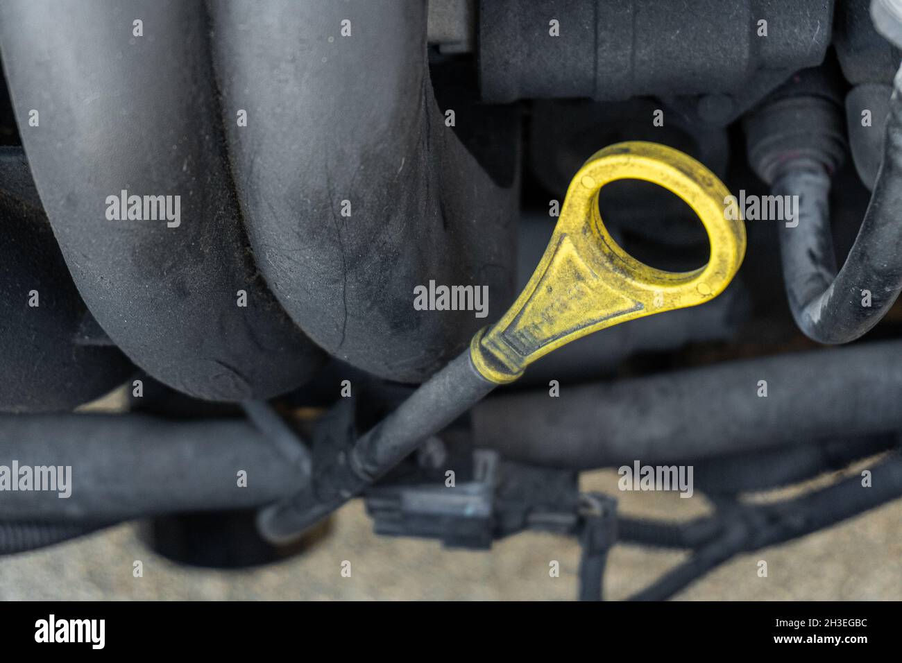 Car's oil dipstick inserted into the engine Stock Photo - Alamy