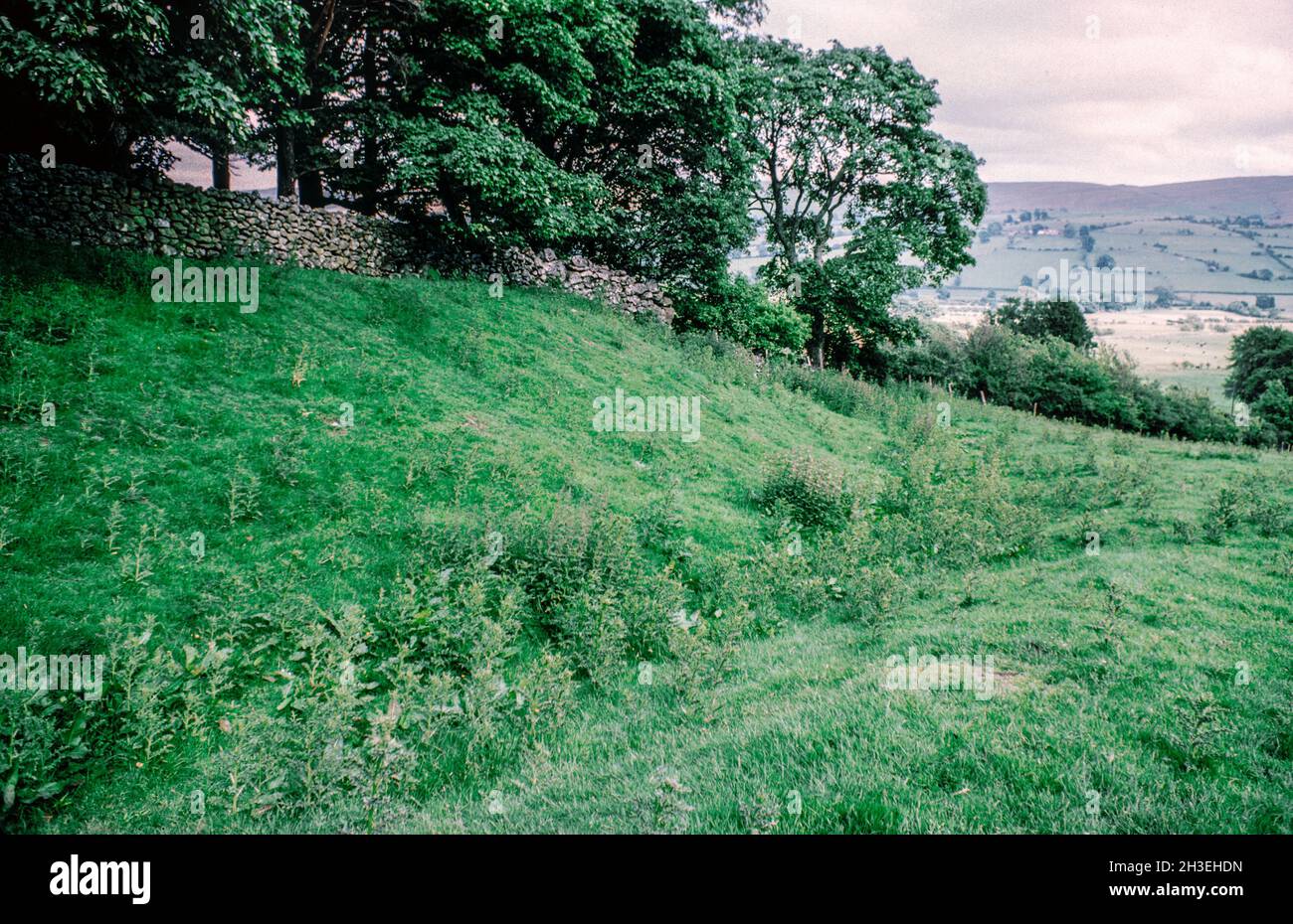 Penllyn castle architecture castle in hi-res stock photography and ...
