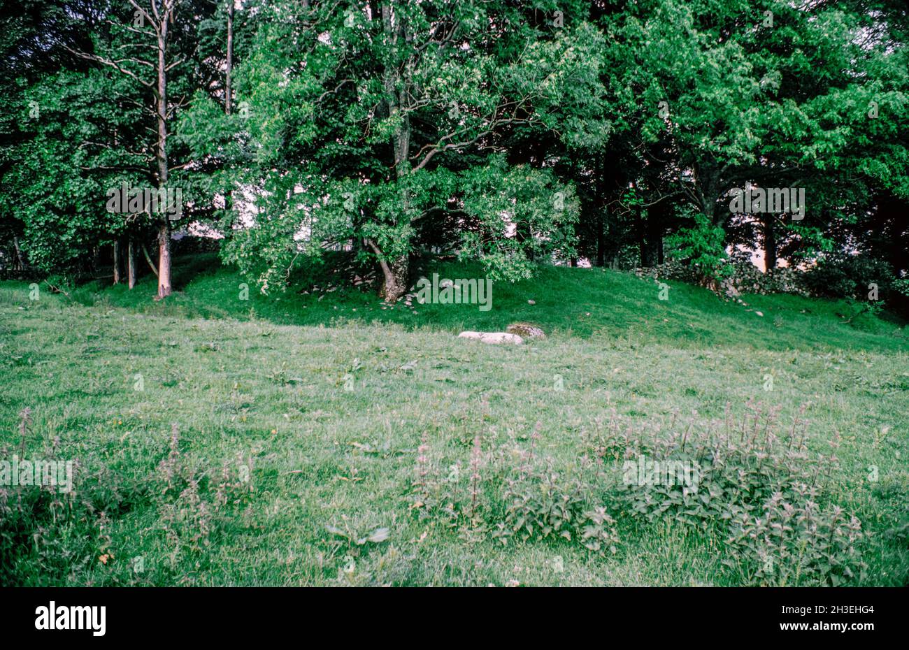Penllyn castle hi-res stock photography and images - Alamy