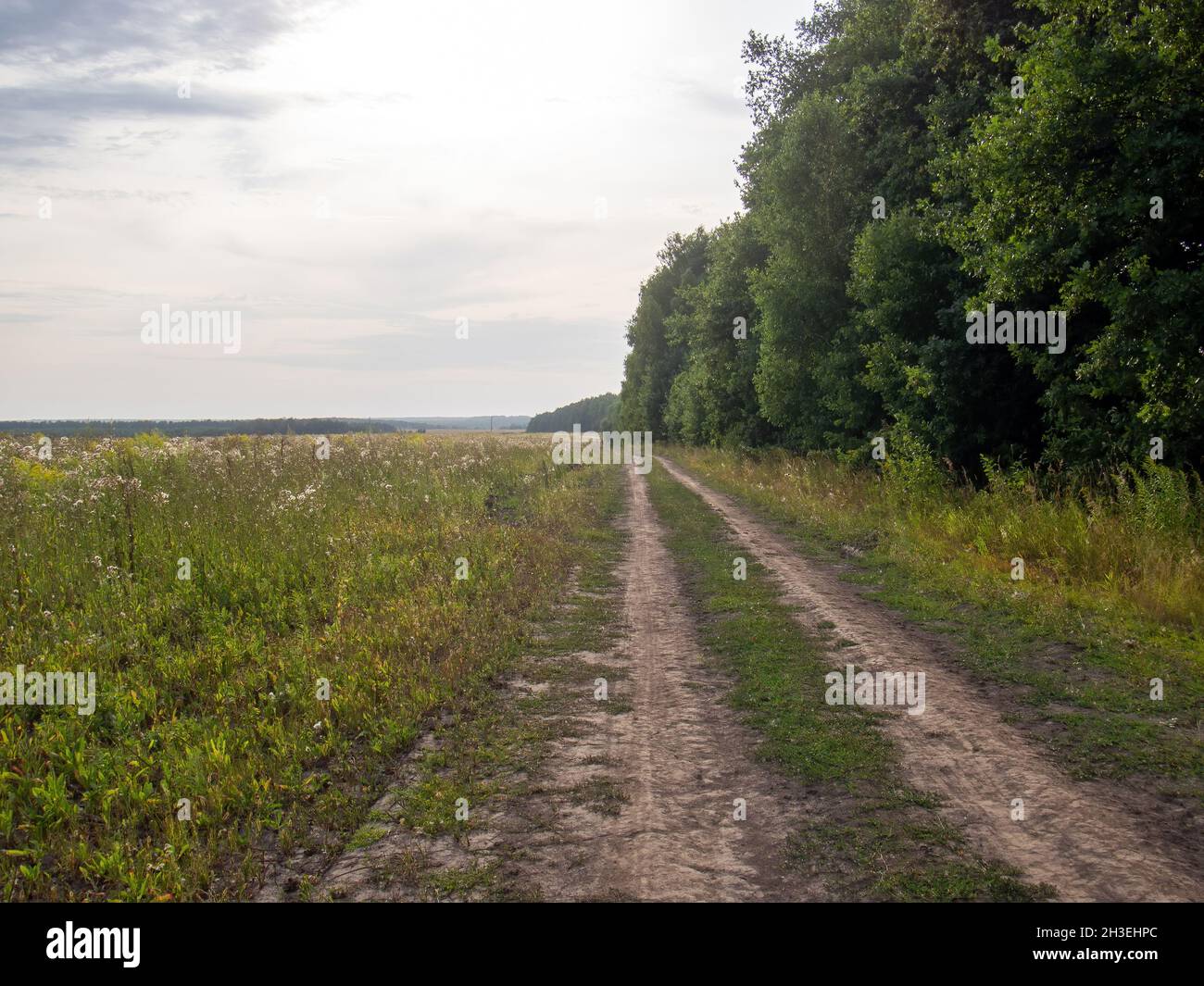 Grass track through field hi-res stock photography and images - Alamy