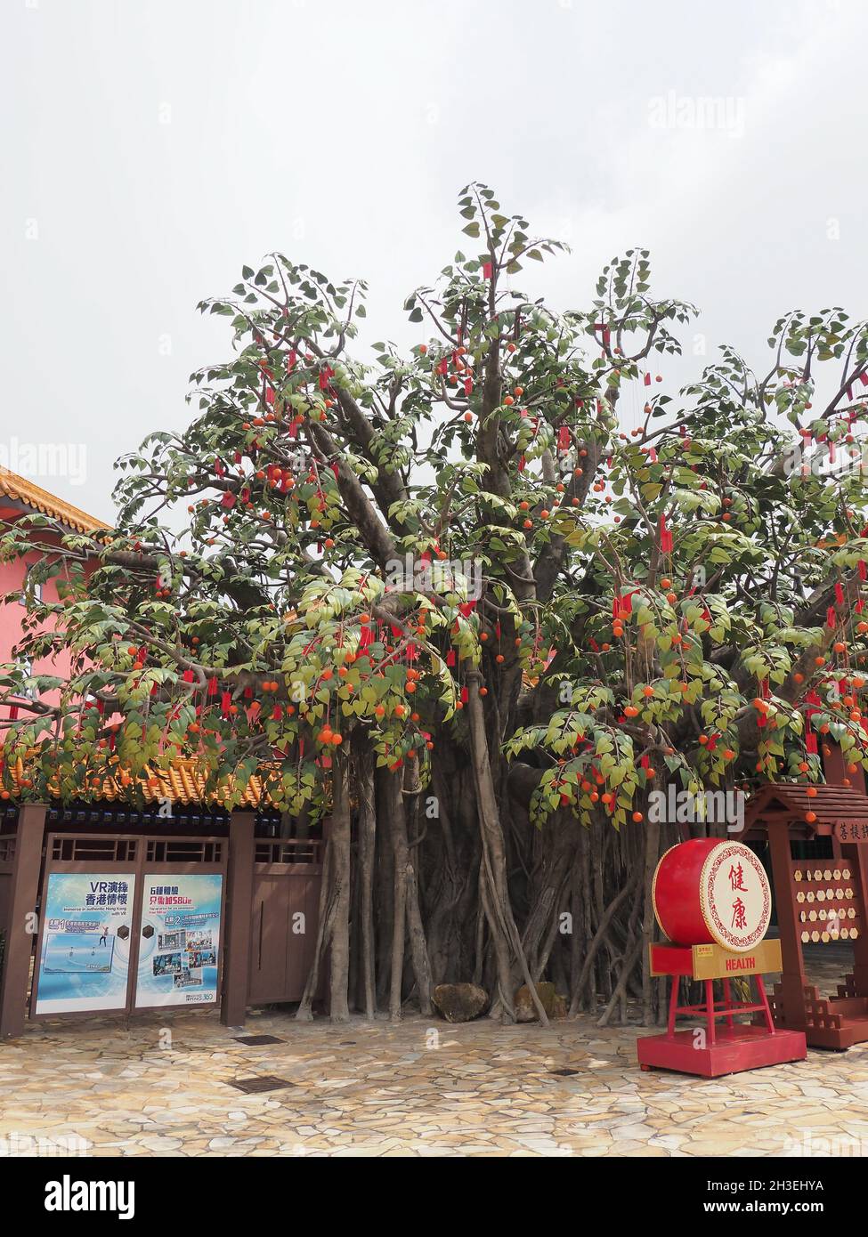 HONG KONG, HONG KONG - Oct 01, 2019: A beautiful shot of wishing tree ...
