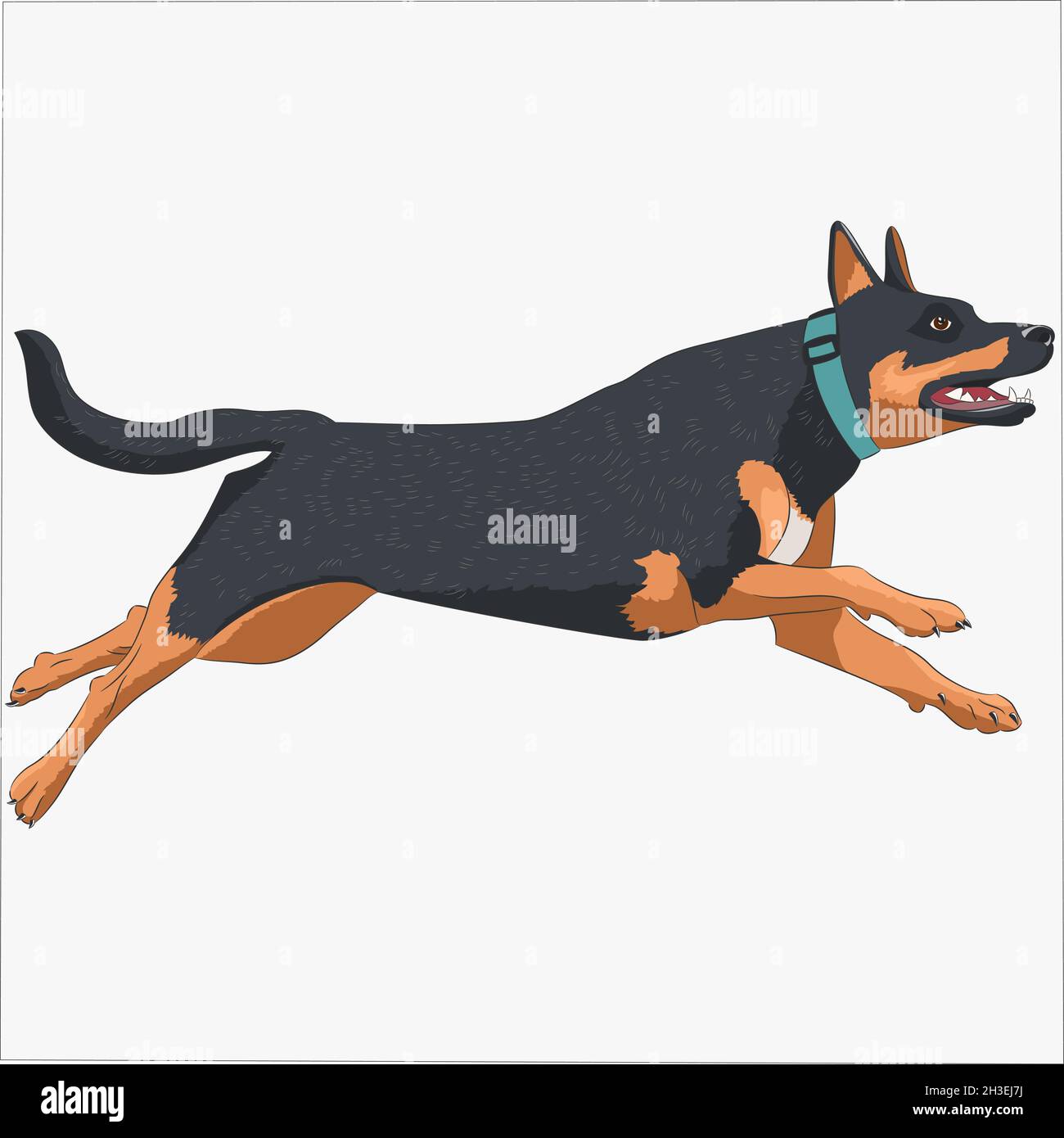Jumping black shepherd dog isolated on white background. Vector ...