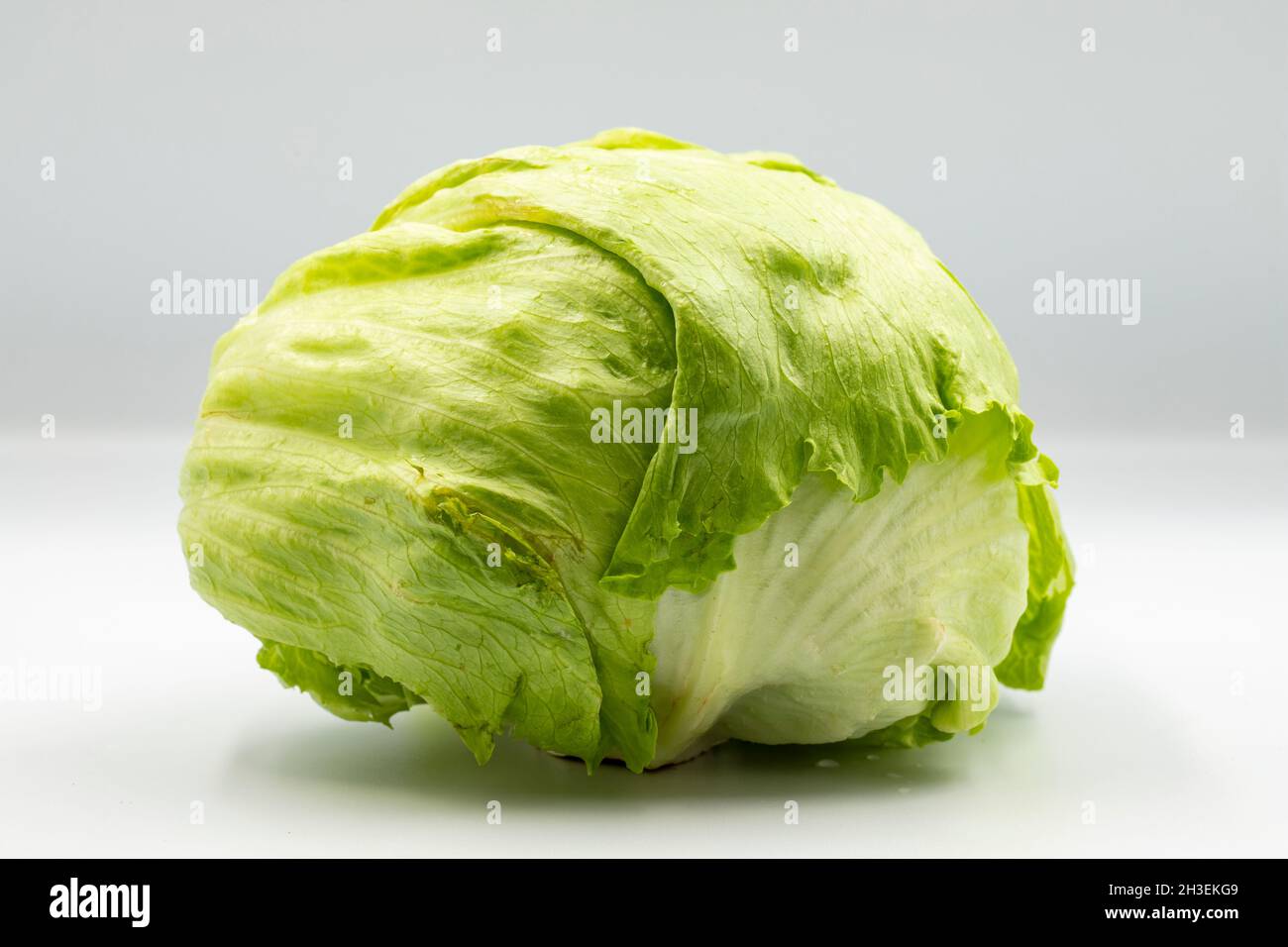 Iceberg lettuce garden hi-res stock photography and images - Alamy