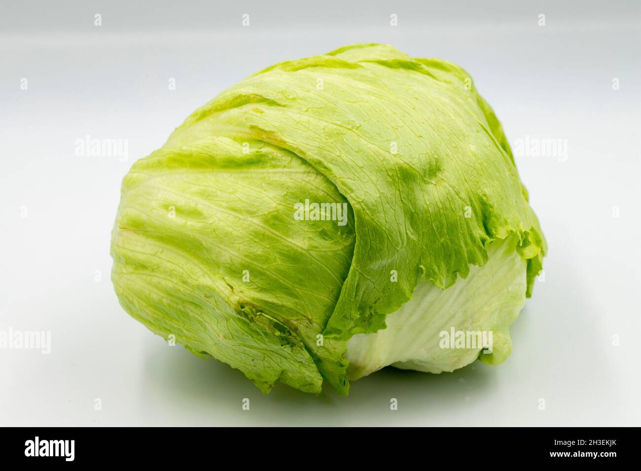 Fresh Green Iceberg Lettuce on White Background with shadow. close up ...