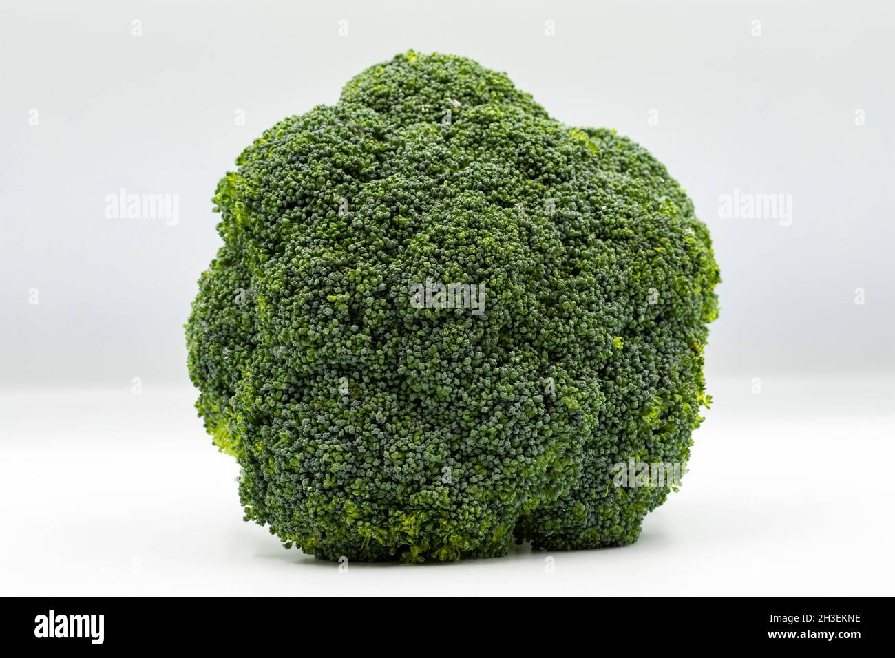 Fresh Broccoli on White Background with shadow. close up Stock Photo ...