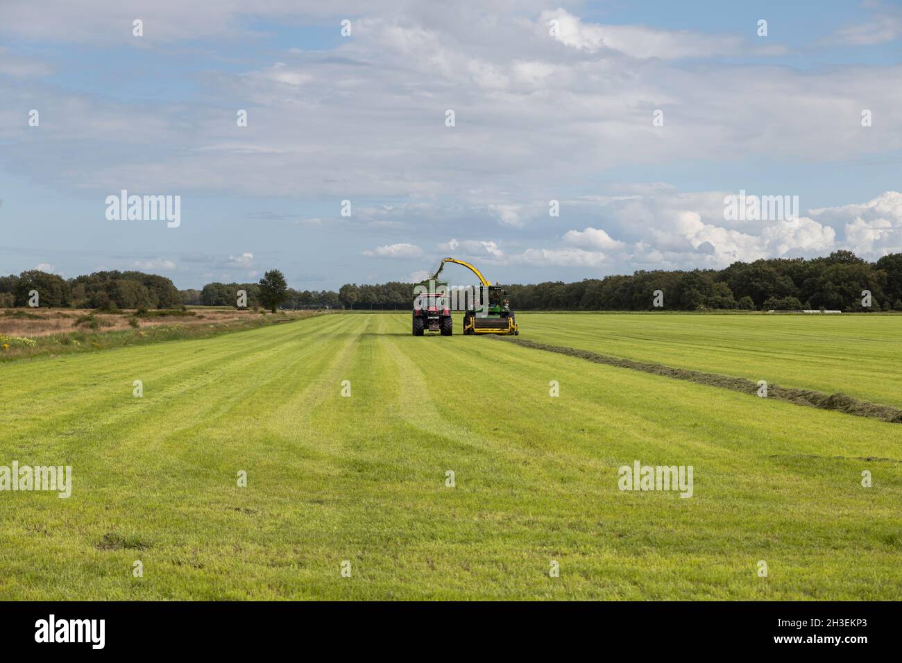 a farmer with tractor is harvesting grass Stock Photo - Alamy